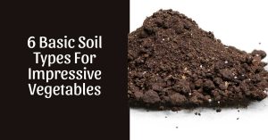 6 Basic Soil Types For Impressive Vegetables - Home Garden Vegetables