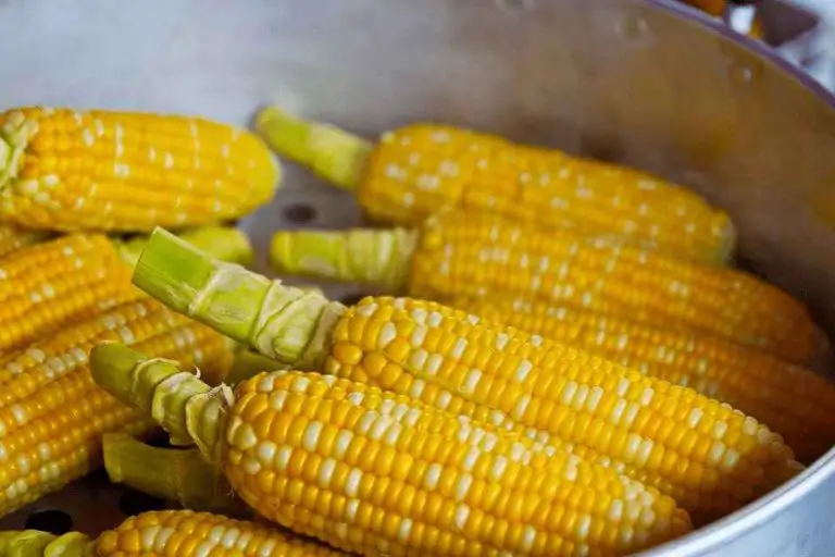 How Tall Does Sweetcorn Grow? - Home Garden Vegetables