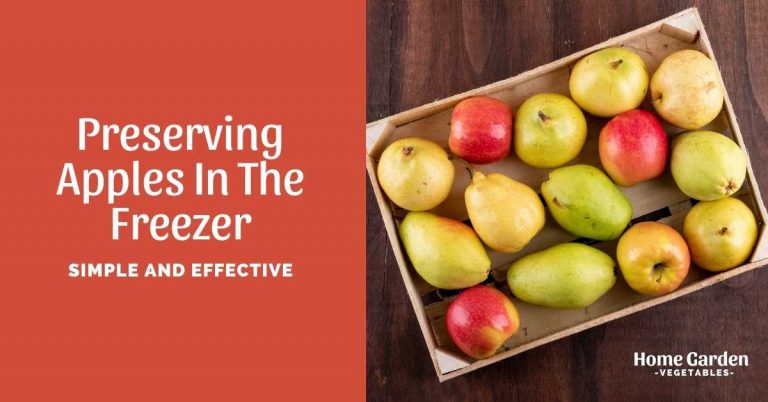 Preserving Apples In The Freezer: Simple And Effective - Home Garden ...