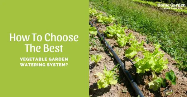 How To Choose The Best Vegetable Garden Watering System? - Home Garden ...