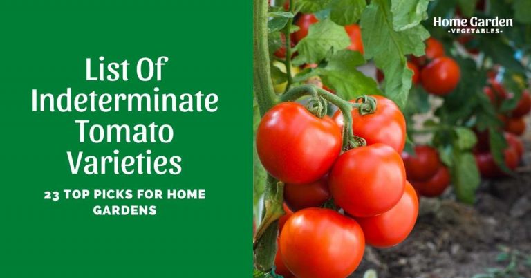 23 Top Indeterminate Tomato Varieties To Try! - Home Garden Vegetables