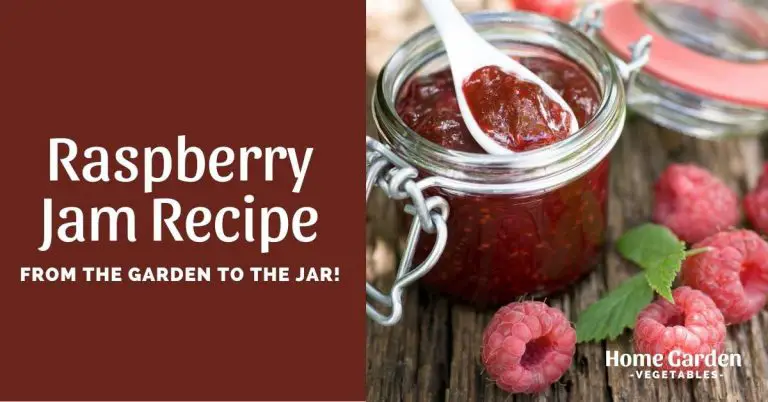 Delicious Raspberry Jam Recipe - Printable PDF - Home Garden Vegetables