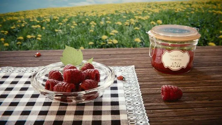 Delicious Raspberry Jam Recipe - Printable PDF - Home Garden Vegetables