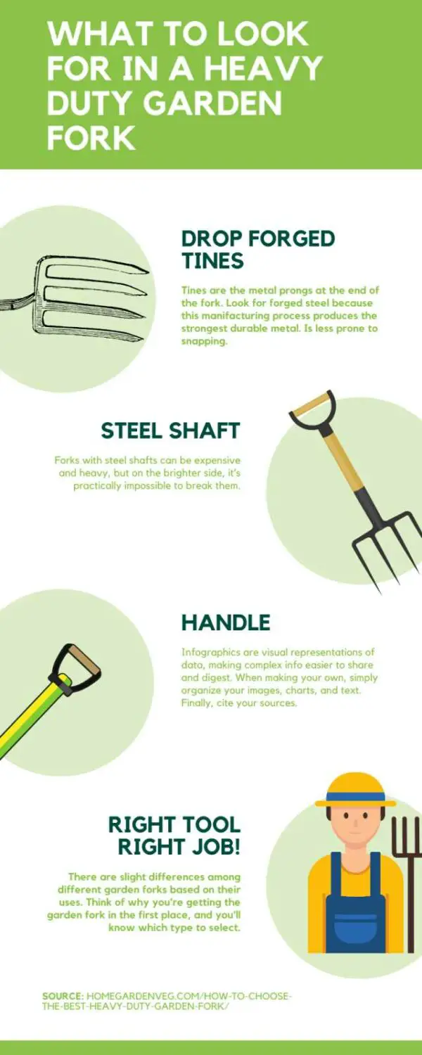 Border Spade VS Digging Spade: Choose The Right Spade For Your Yard ...