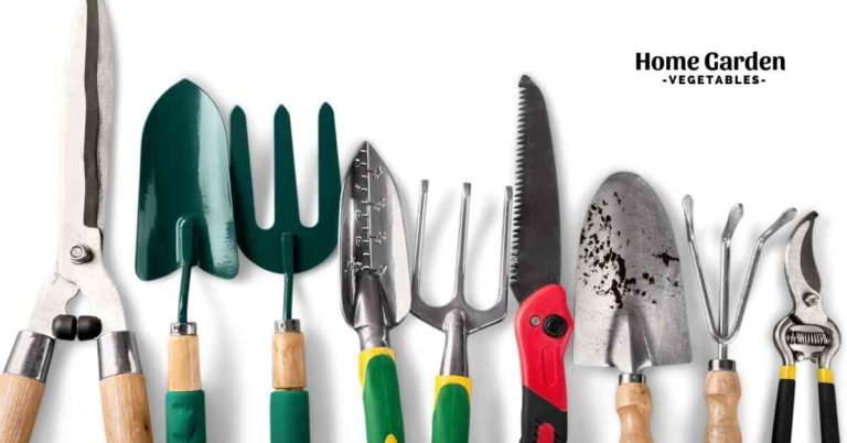 How To Disinfect Gardening Tools - Home Garden Vegetables