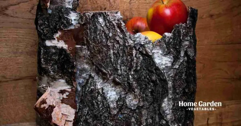 Apple Tree Bark Peeling - What Should You Do? - Home Garden Vegetables