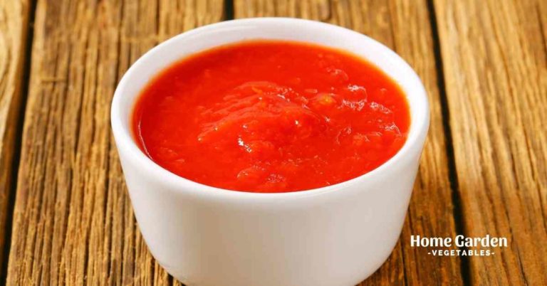 Tomato Paste vs Puree - Home Garden Vegetables
