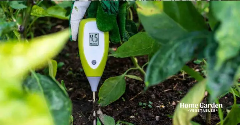 Soil pH For Tomatoes and Peppers - Home Garden Vegetables