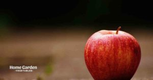 How To Ripen Apples - Home Garden Vegetables