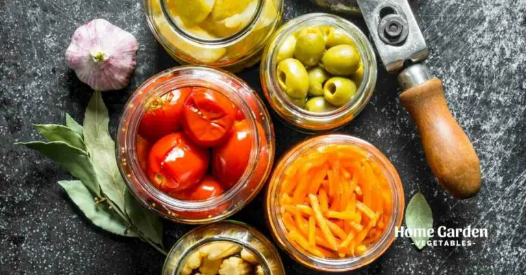 13 Nutrition Preserving Techniques for Vegetables - Home Garden Vegetables