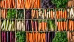Exploring the Variety: Different Types of Carrots - Home Garden Vegetables